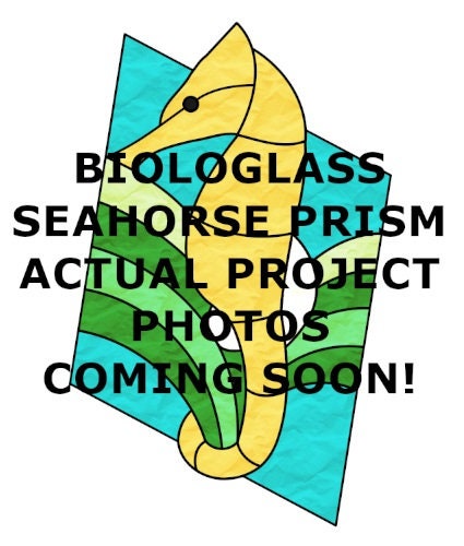 Seahorse Prism Stained Glass Pattern Digital Download Commercial ...