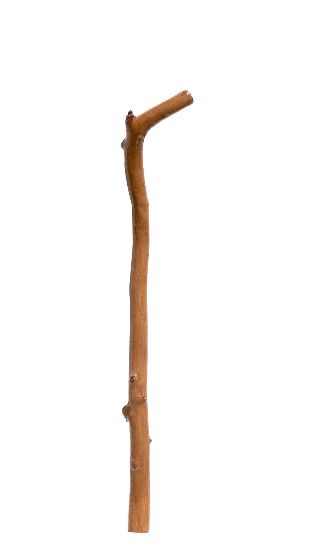 Walking Stick, Birch Wood, Hiking Stick, Cane, Hardwood - Etsy