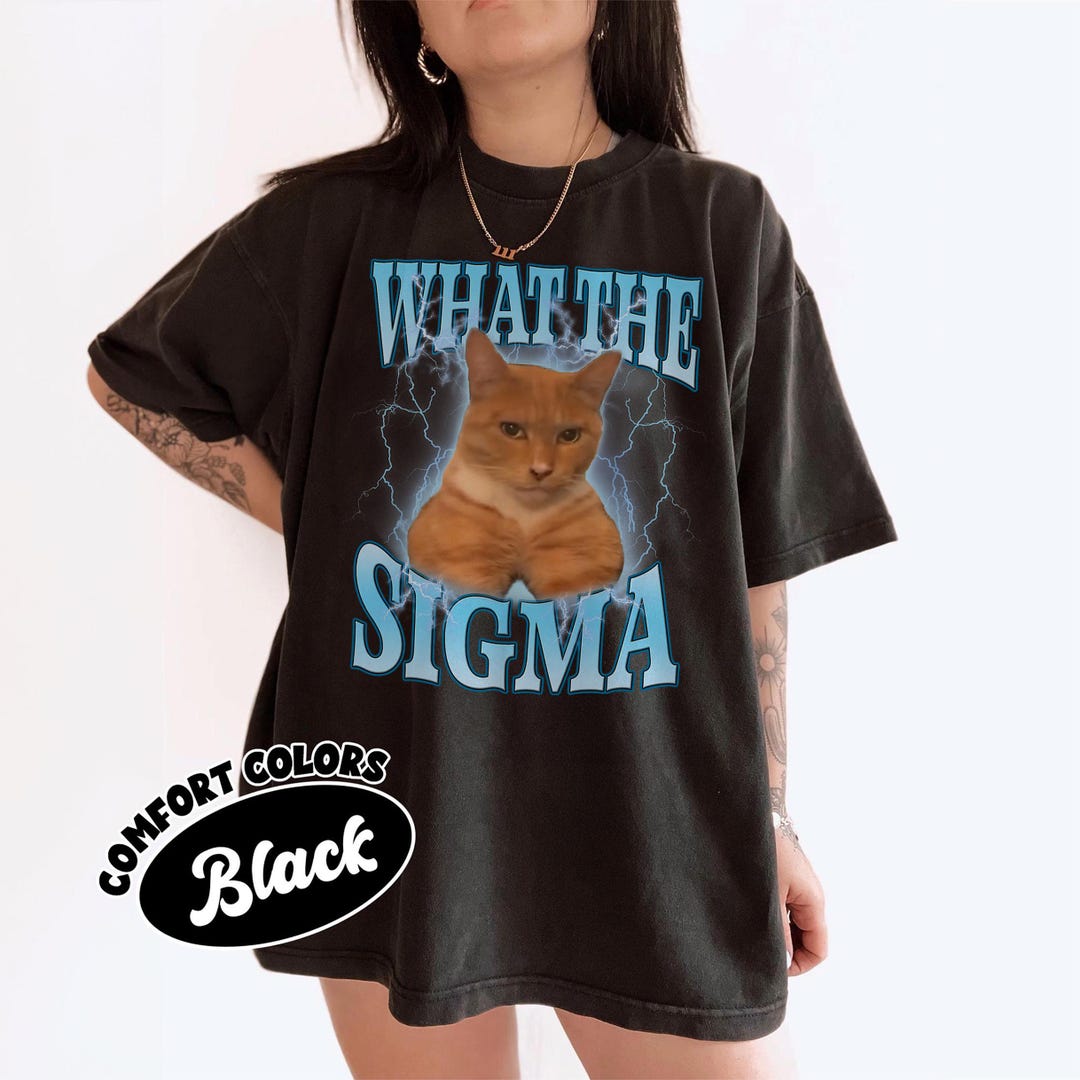What the Sigma Meme Cat Ironic Brainrot Y2K T-shirt, Funny Graphic Tee ...