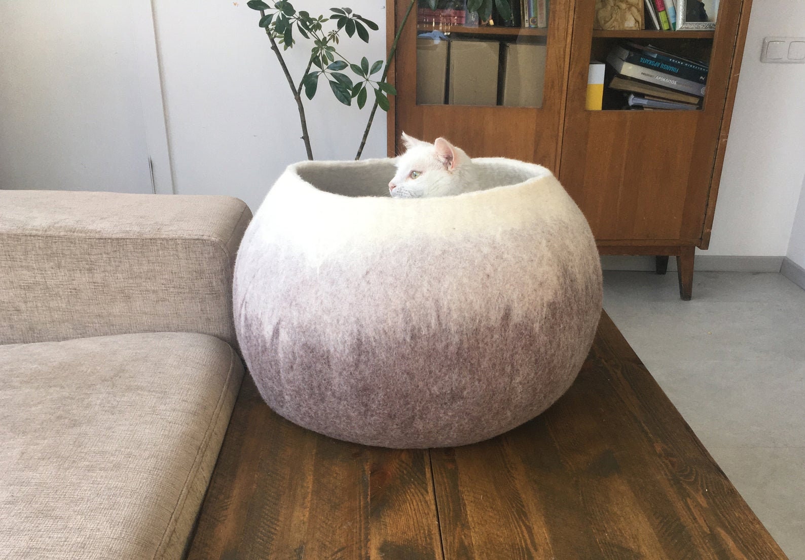 Cat Nap Cocoon / Pet Cave / Kitty Bed /dog House / Felt Vessel | Etsy