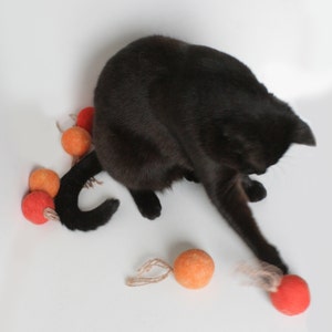Cat Toy Chase Toy Felt Ball Wool Cat Toy Ball Cat Toy - Etsy