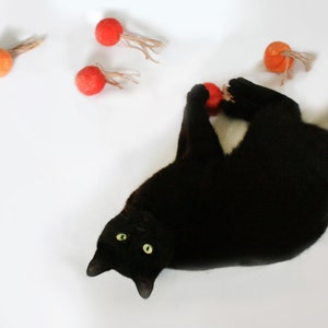 Cat Toy Chase Toy Felt Ball Wool Cat Toy Ball Cat Toy - Etsy