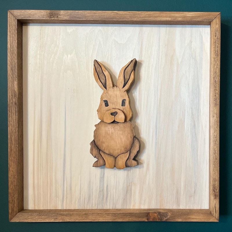 Bunny Build Plans - Etsy UK