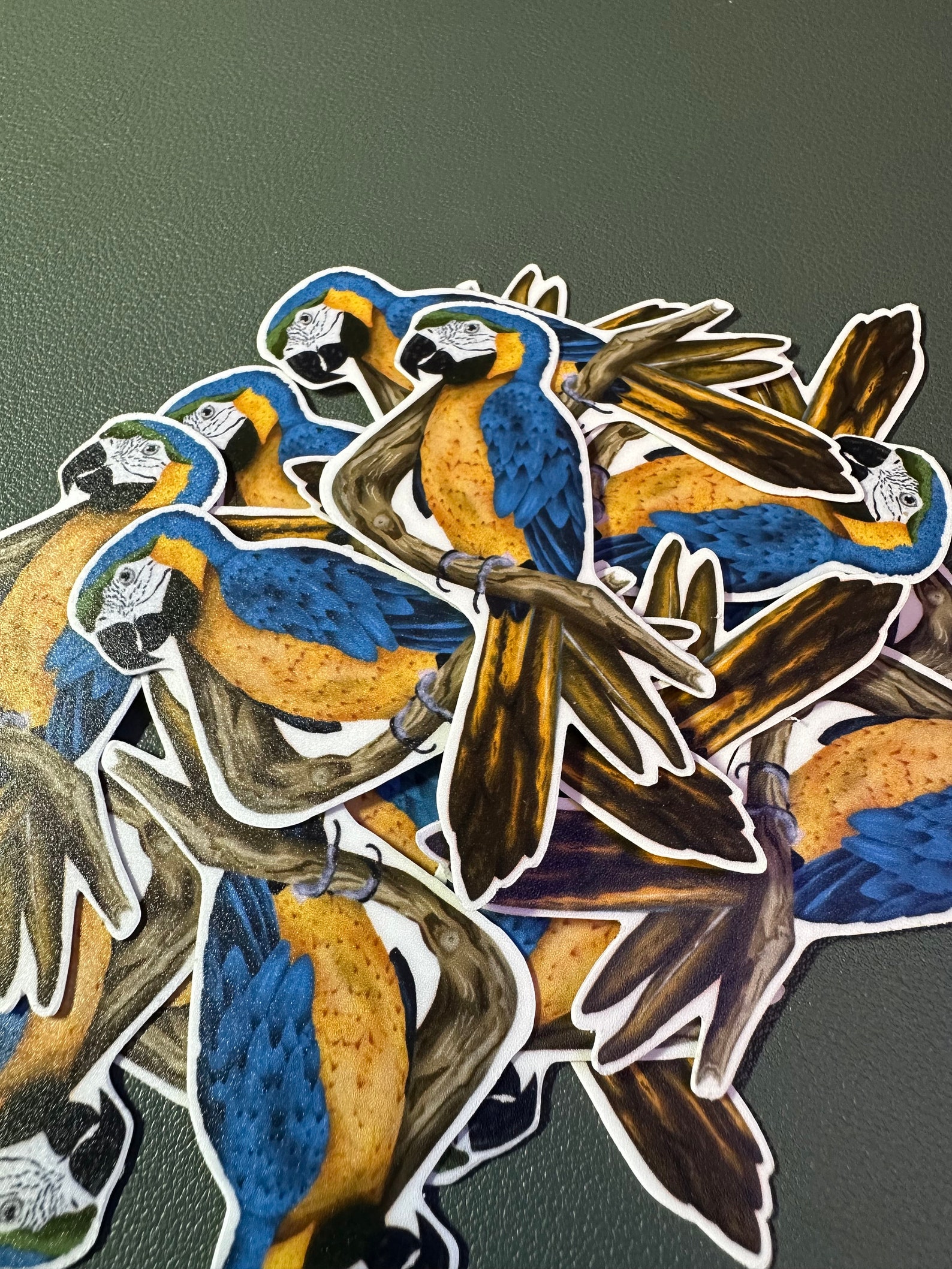 Parrot Sticker Premium Matte Laminate Vinyl - Tropical Bird Sticker ...