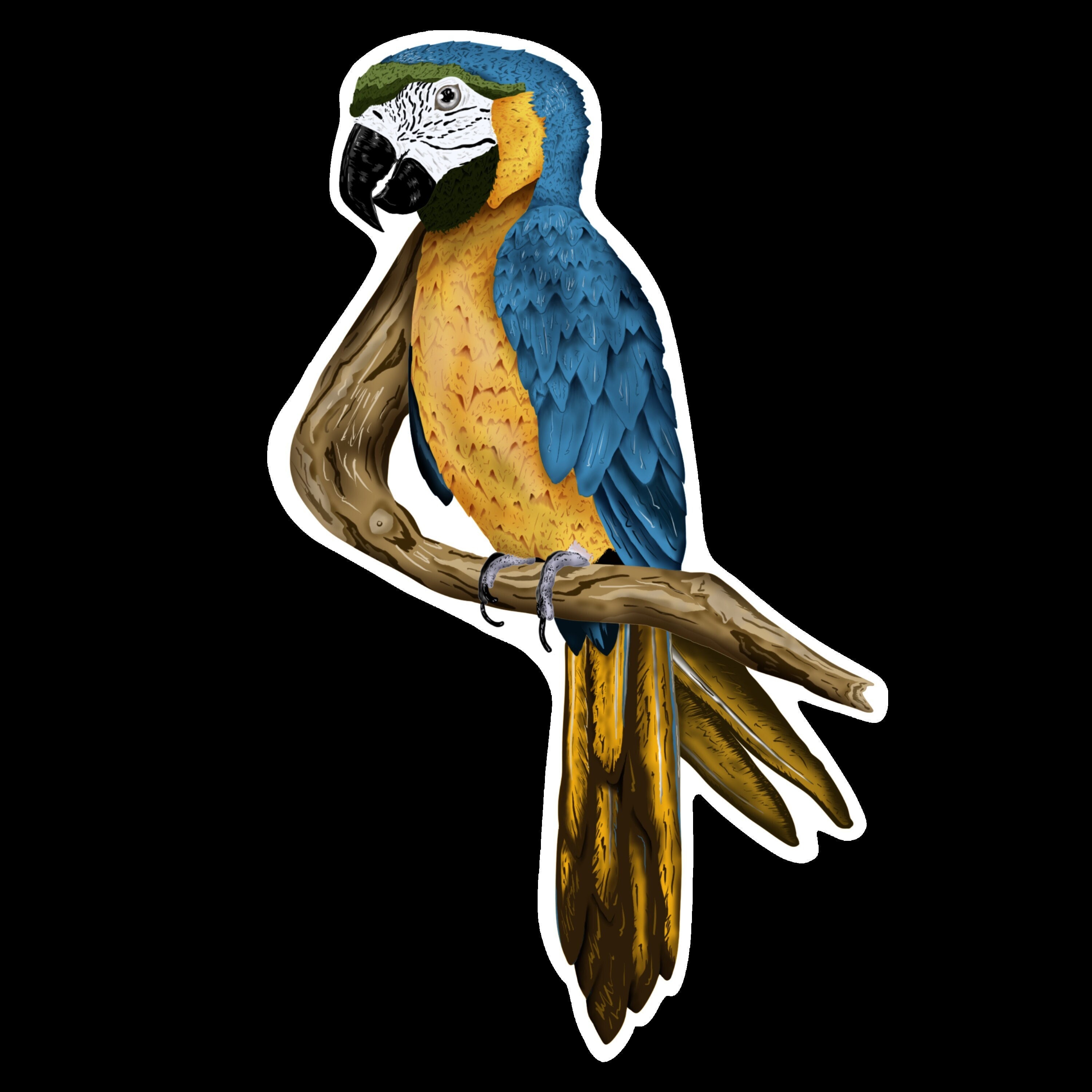 Parrot Sticker Premium Matte Laminate Vinyl - Tropical Bird Sticker ...
