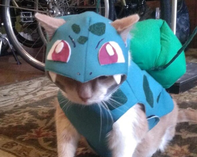 BULBASAUR - Pokemon Cat Cosplay, OOAK Costume - Etsy