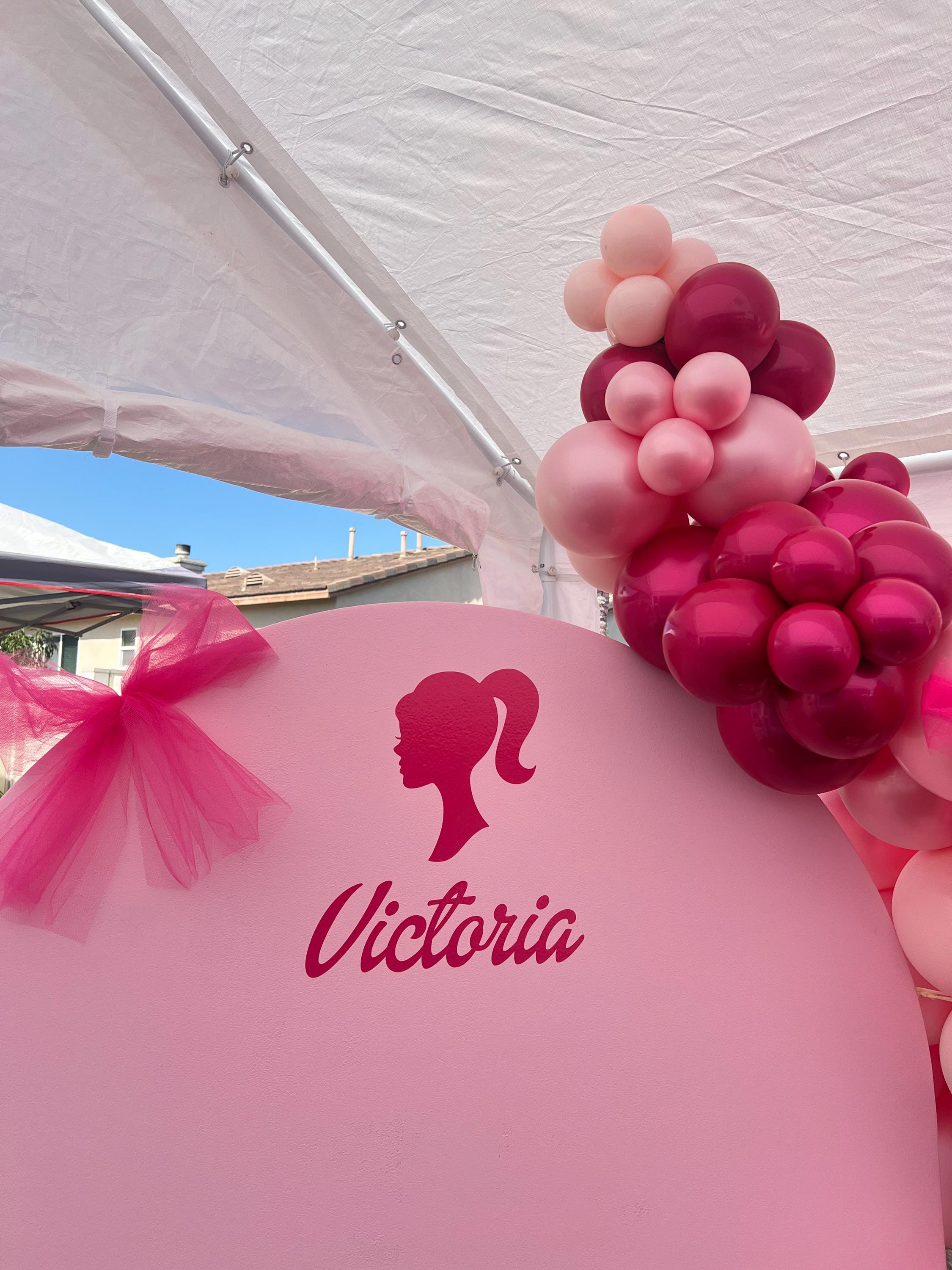 Luxury Double Stuffed Barbie Balloon Garland, Magenta, Pearl Pink ...