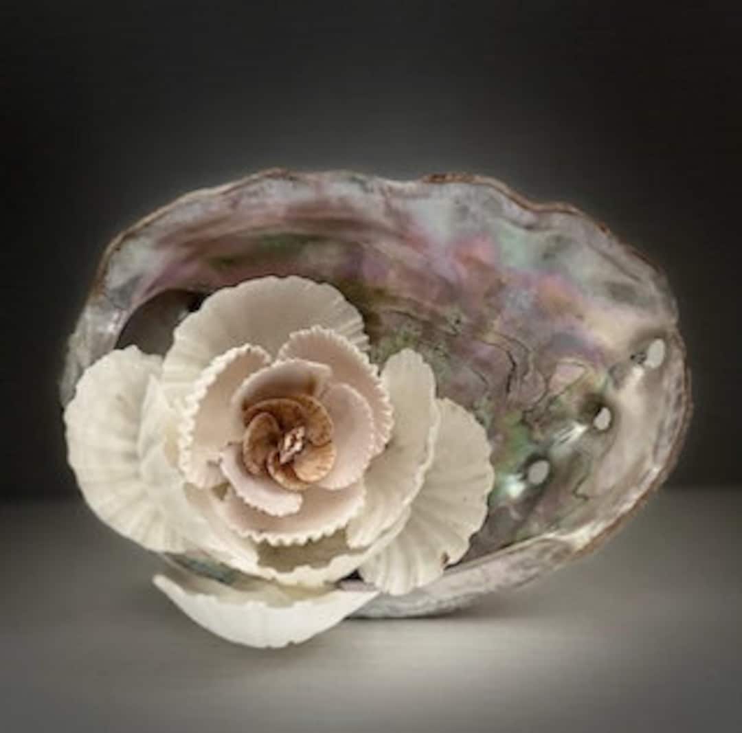 Shell Flower With White Clam Shells in Abalone Shell With Coral Support ...