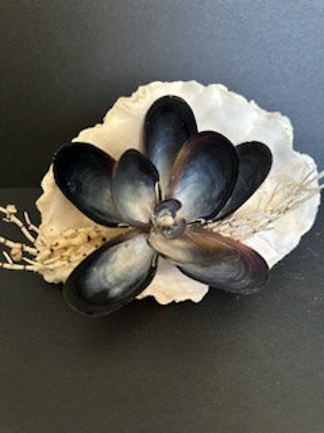 Shell Flower With Large Clam Shell and Purple Muscle Shells and White ...