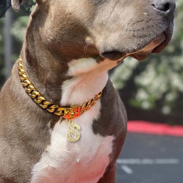 Dog Chain Collar - Etsy