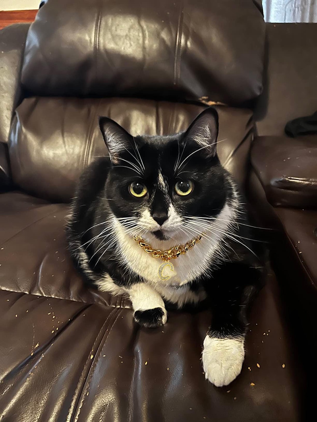 Cuban Link Cat Collar Chain,gold Cat Necklace With Initial Letter ...