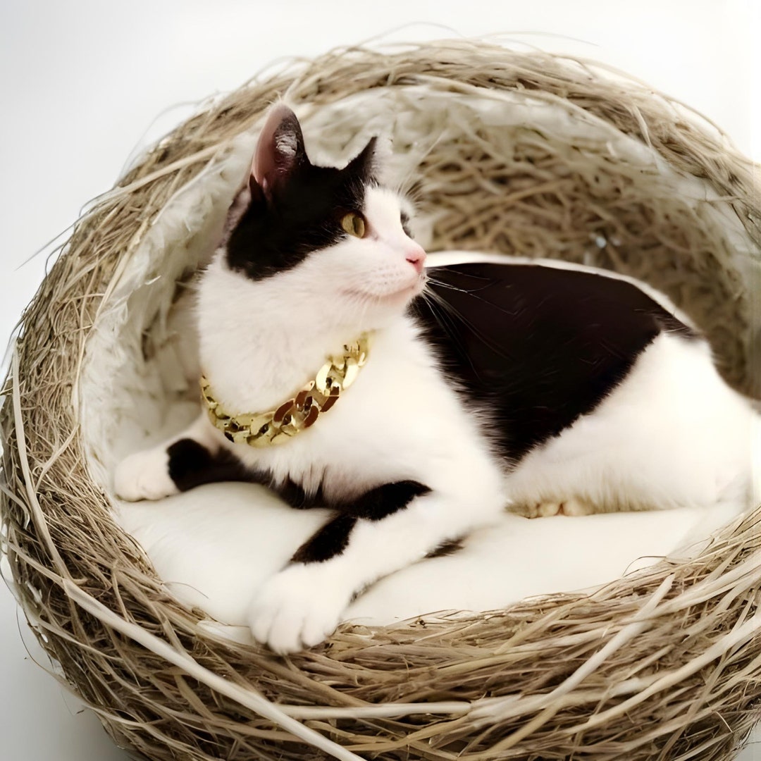 Luxury Cuban Link Cat Necklace,gold Cat Collar Chain,custom Cat Chain ...