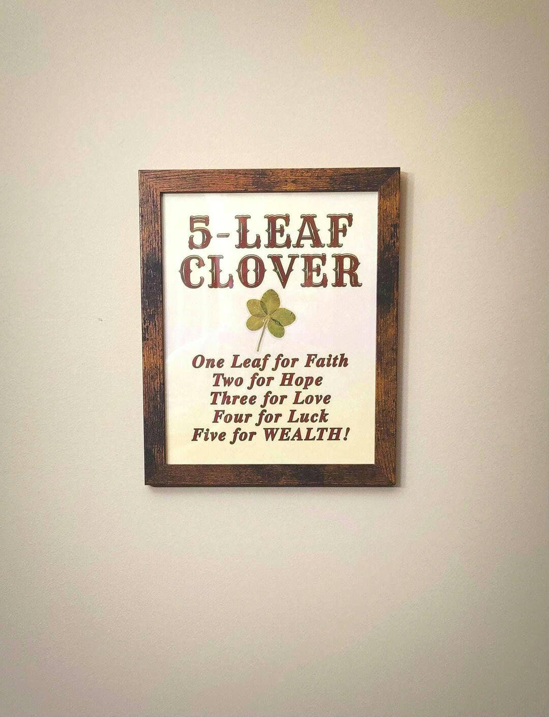 A Real Hand-picked Five-leaf Clover picked by Me in an 8x10 Picture ...