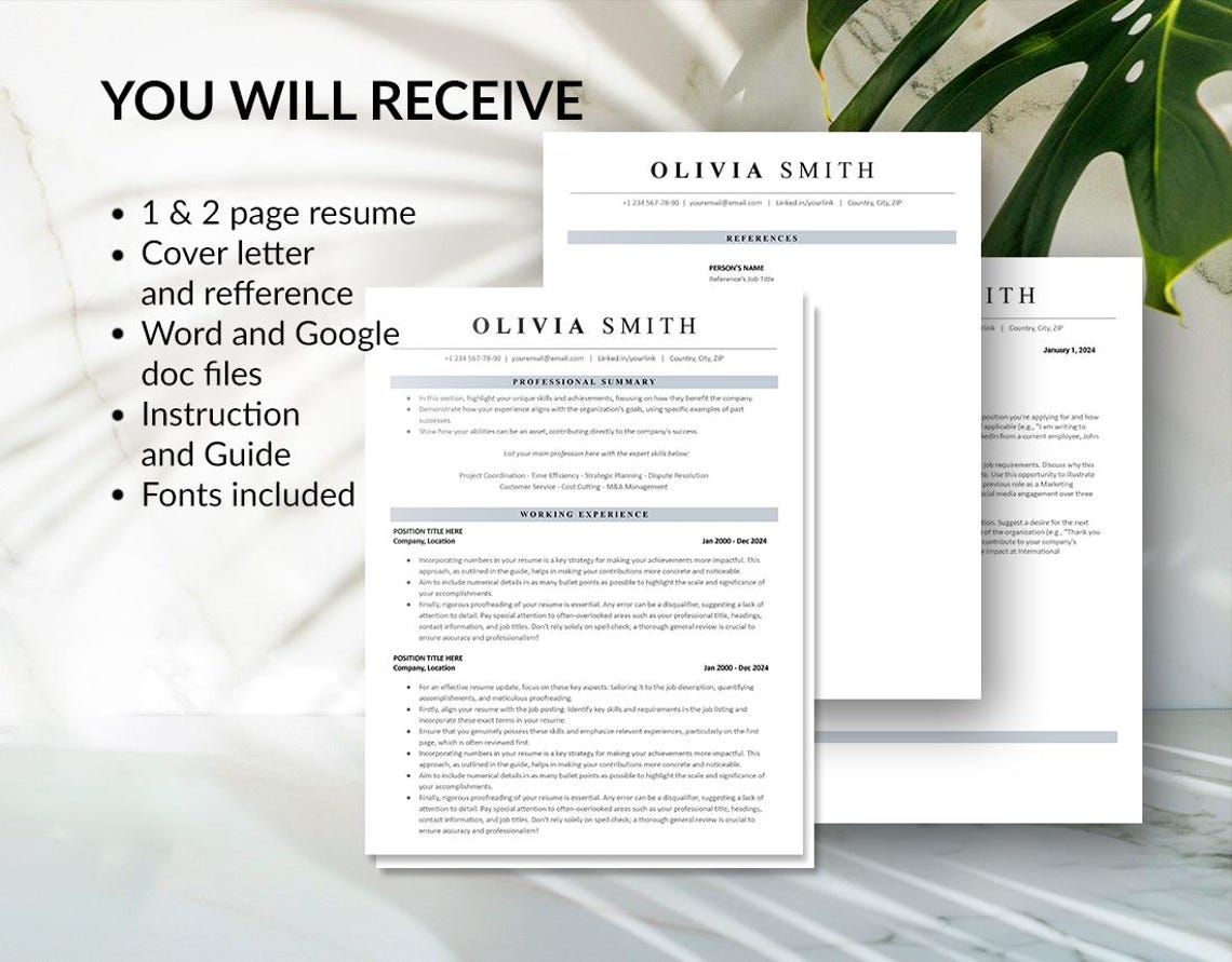 ATS Friendly Resume Template for Word and Google Docs, Professional CV ...