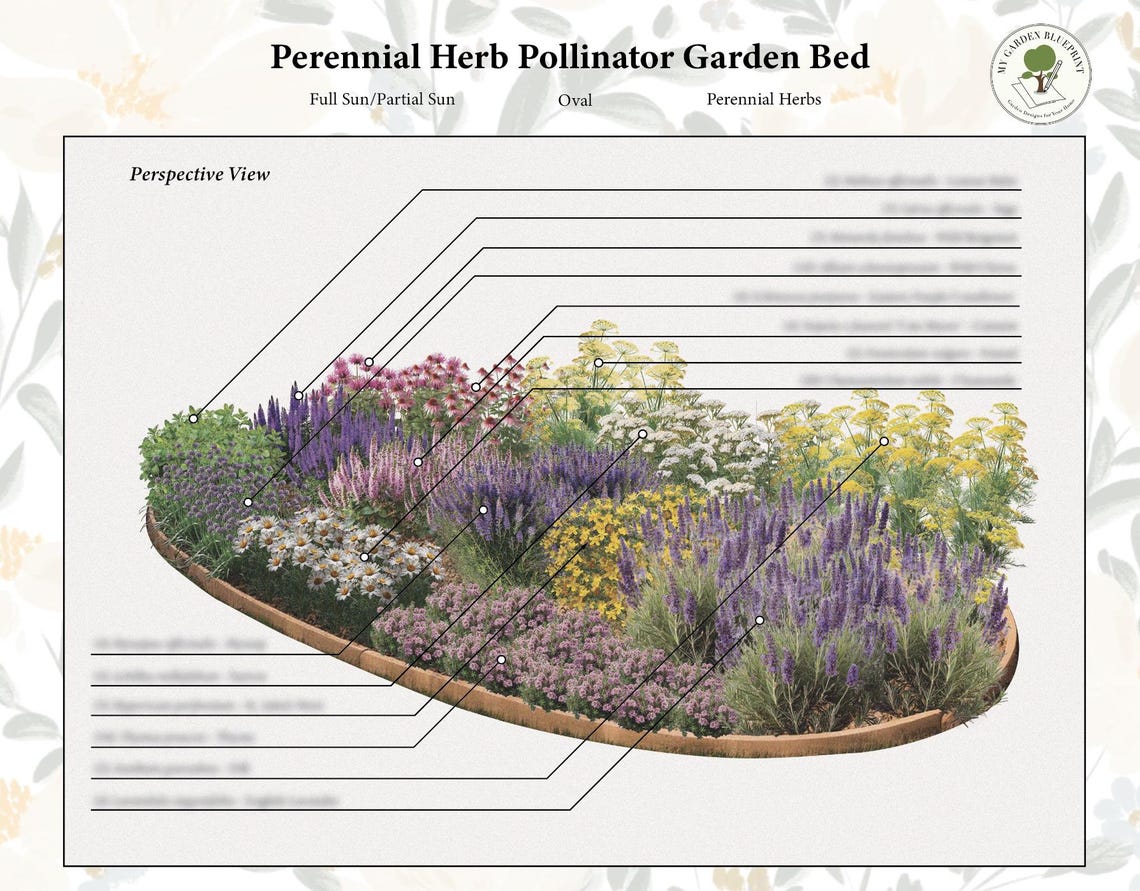 Perennial Herb Pollinator Garden Bed Template - Oval (8m X 4m - Drawn ...