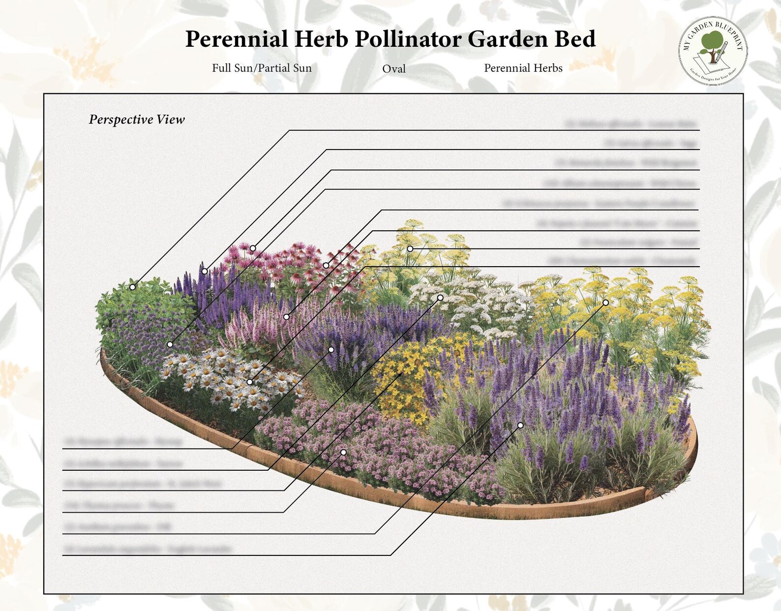 Perennial Herb Pollinator Garden Bed Template - Oval (8m X 4m - Drawn ...