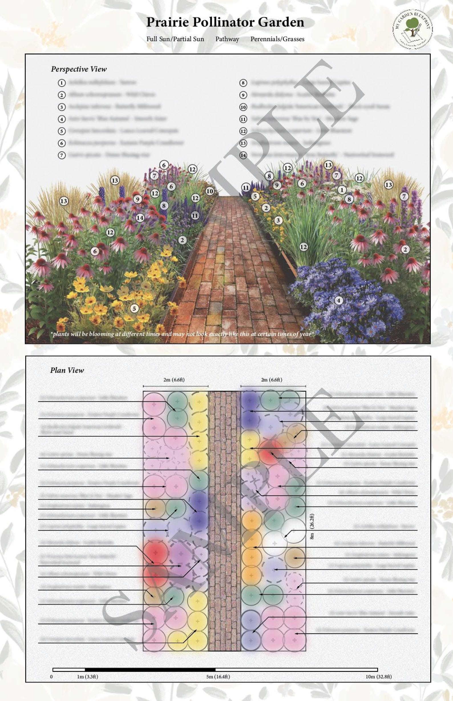 Prairie Pollinator Garden Template - Pathway (TWO BEDS - 2m X 8m ...