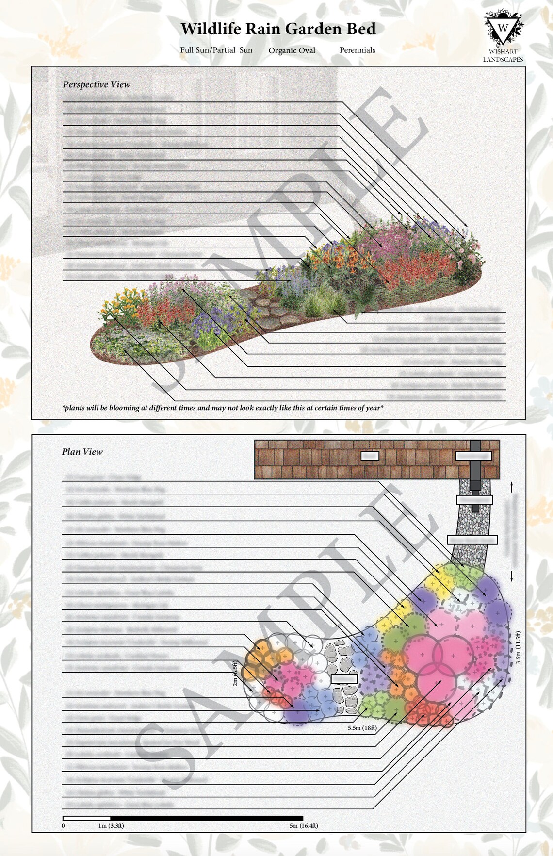 Wildlife Rain Garden Template Organic Oval 3.5m X 5.5m Drawn to Scale ...