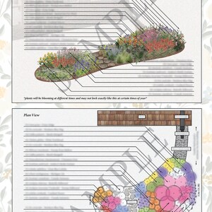 Wildlife Rain Garden Template Organic Oval 3.5m X 5.5m Drawn to Scale ...