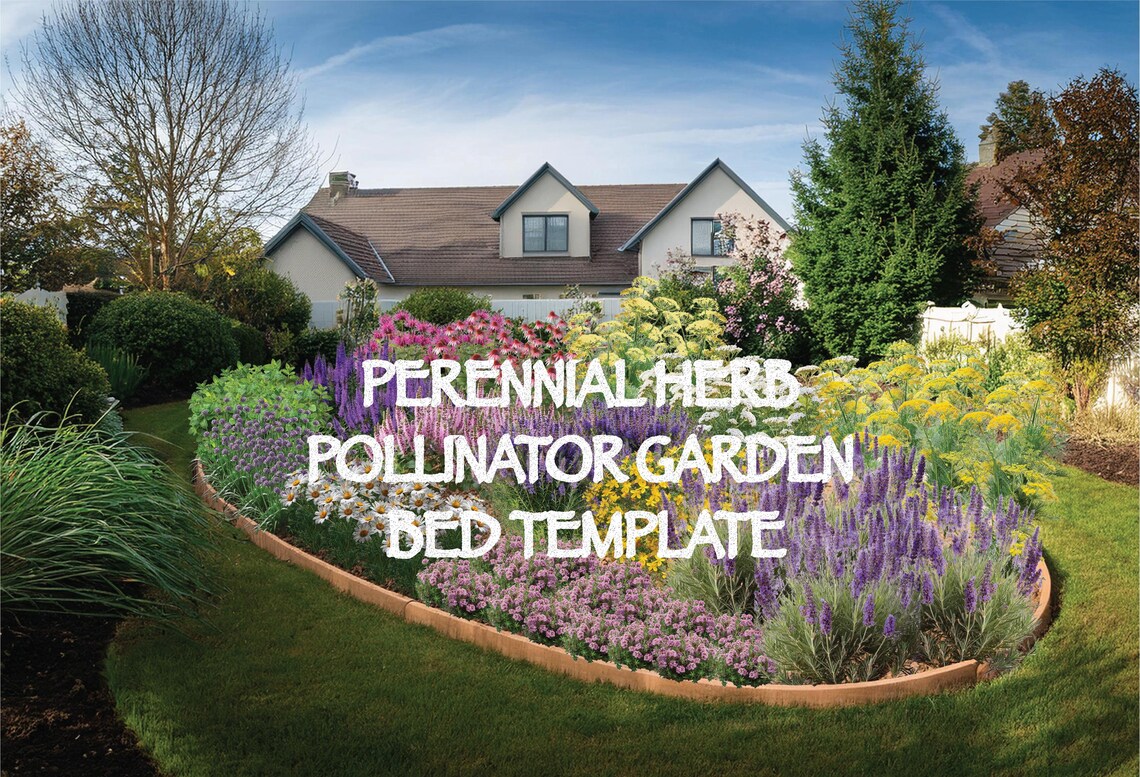 Perennial Herb Pollinator Garden Bed Template - Oval (8m X 4m - Drawn ...