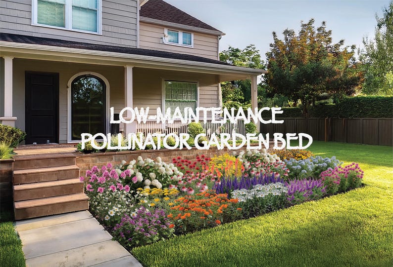 Low-maintenance Pollinator Garden Bed Template - Rectangle (2.5m X 8m ...