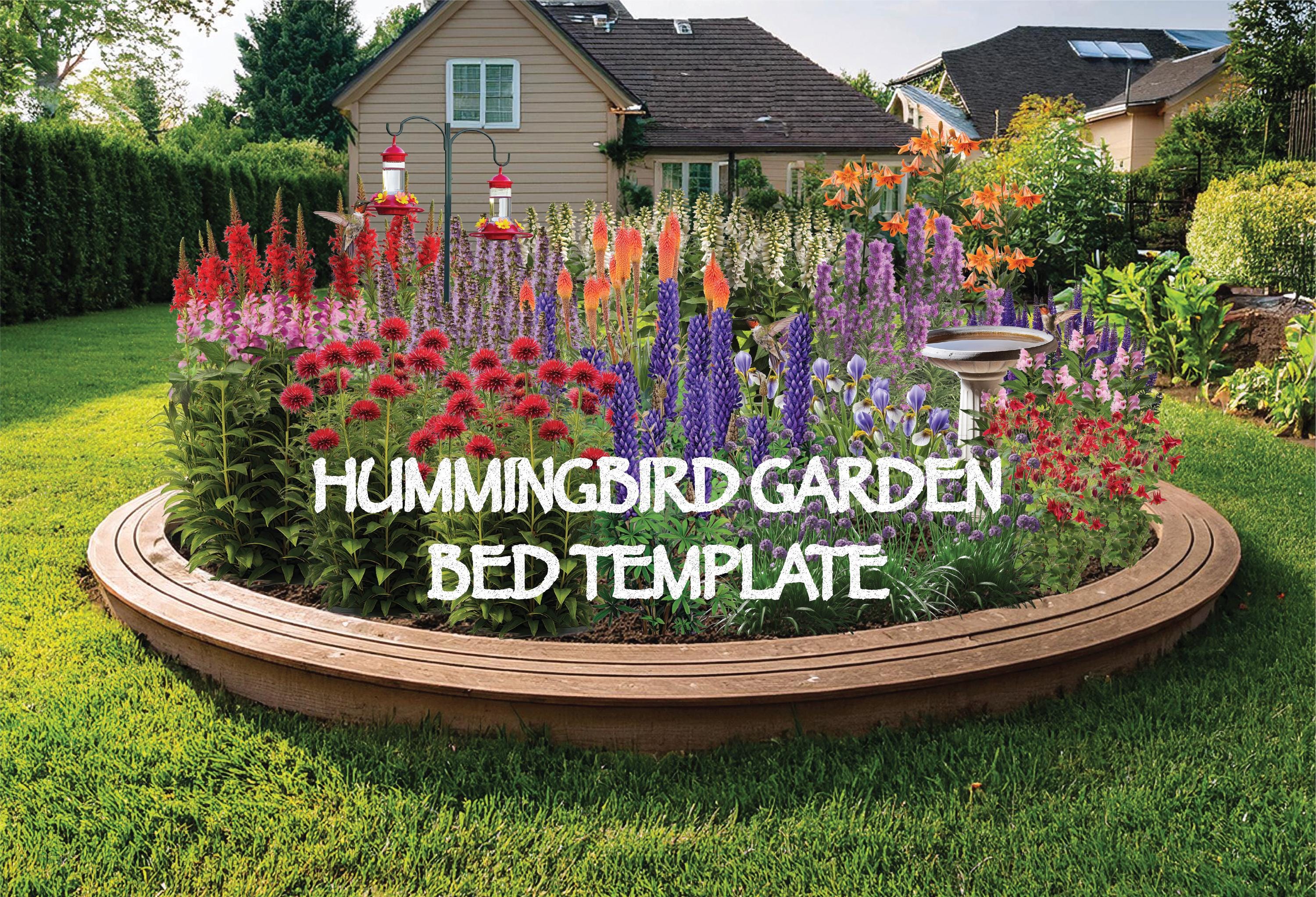 Hummingbird Garden Bed Template - Oval (4m X 2.5m - Drawn to Scale ...