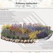 Pollinator Garden Bed Template - Semicircle (8m X 3m - Drawn to Scale ...