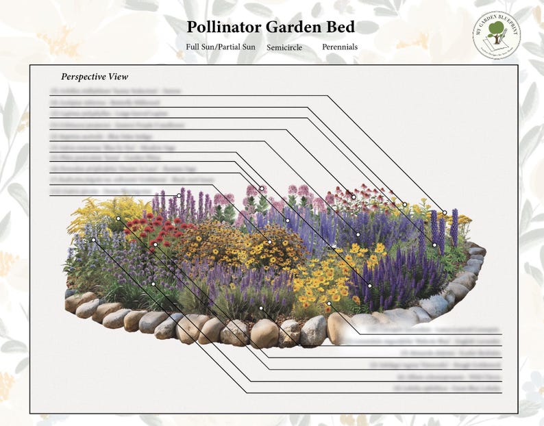 Pollinator Garden Bed Template - Semicircle (8m X 3m - Drawn to Scale ...
