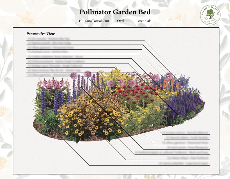 Pollinator Garden Bed Template - Oval (4m X 2.5m - Drawn to Scale ...