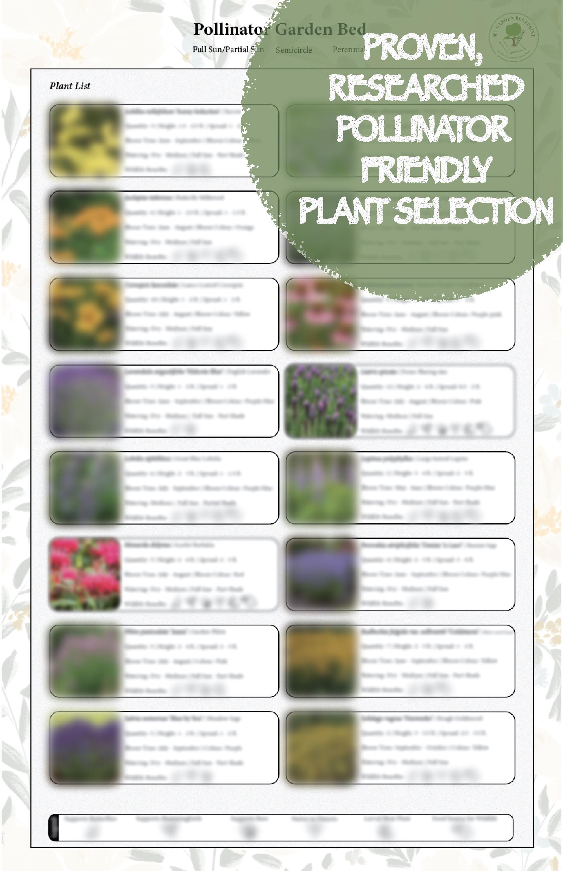 Pollinator Garden Bed Template - Semicircle (8m X 3m - Drawn to Scale ...