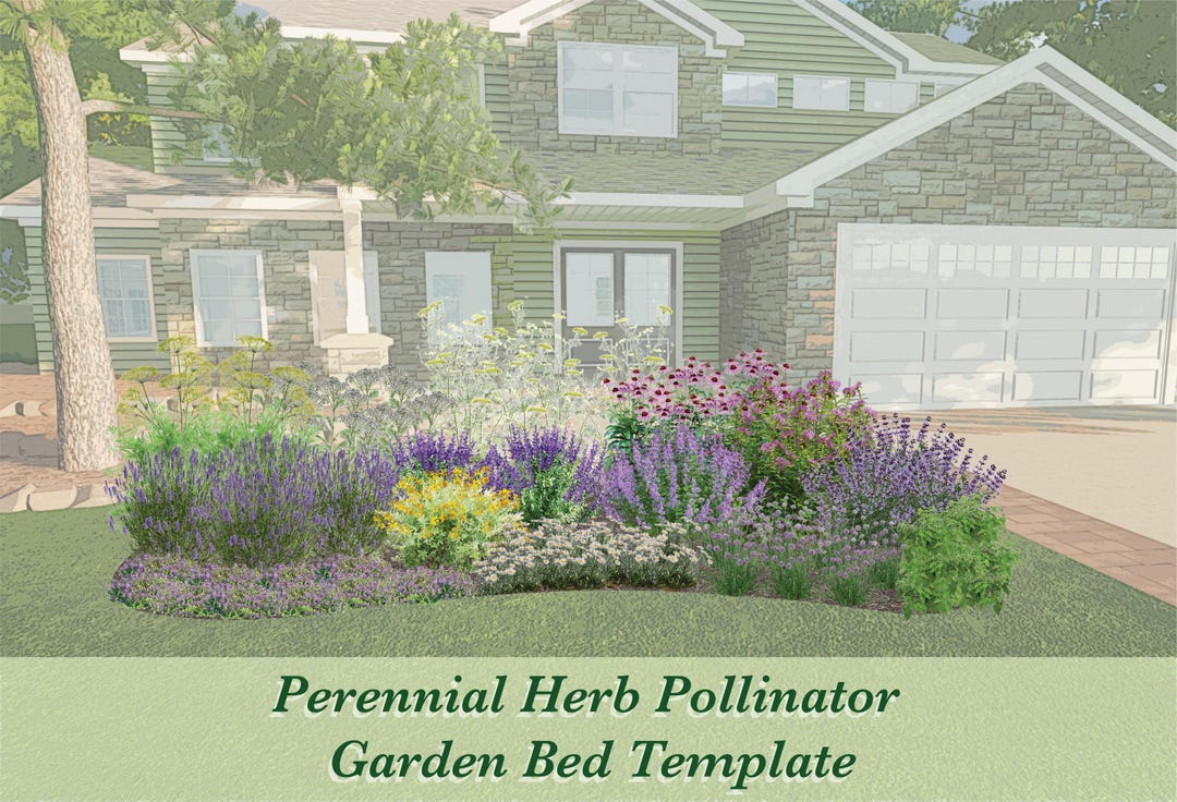 Perennial Herb Pollinator Garden Bed Template Organic Oval 8m X 3m ...