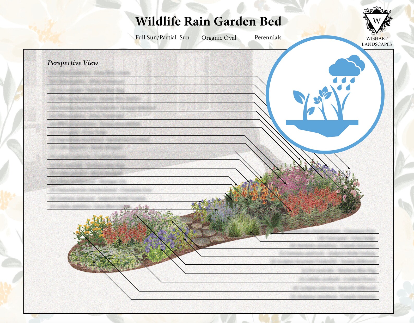 Wildlife Rain Garden Template Organic Oval 3.5m X 5.5m Drawn to Scale ...