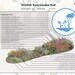 Wildlife Rain Garden Template Organic Oval 3.5m X 5.5m Drawn to Scale ...