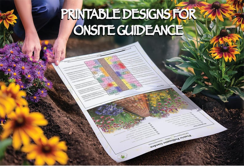 Prairie Pollinator Garden Template - Pathway (TWO BEDS - 2m X 8m ...