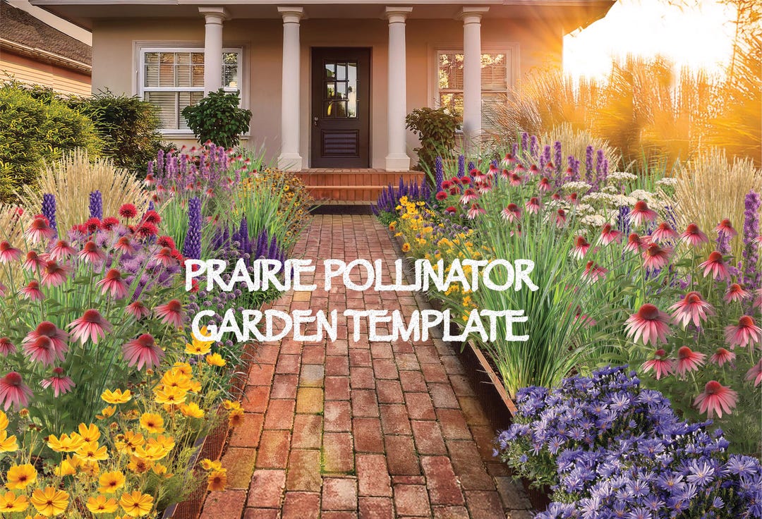 Prairie Pollinator Garden Template - Pathway (TWO BEDS - 2m X 8m ...
