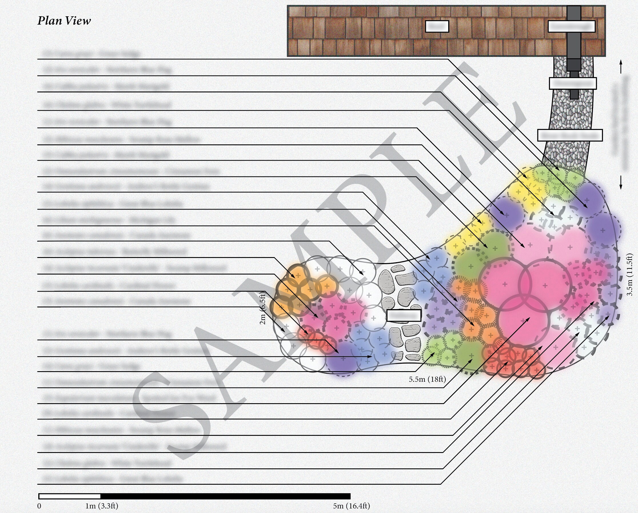 Wildlife Rain Garden Template Organic Oval 3.5m X 5.5m Drawn to Scale ...