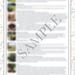 Cottage Garden Bed Template - Rectangle (2m X 8m - Drawn to Scale ...