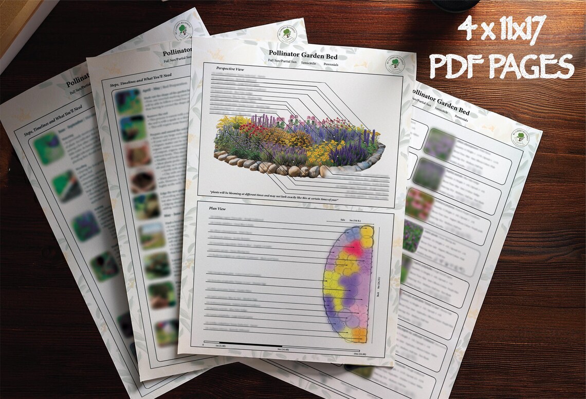 Pollinator Garden Bed Template - Semicircle (8m X 3m - Drawn to Scale ...