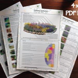 Pollinator Garden Bed Template - Semicircle (8m X 3m - Drawn to Scale ...
