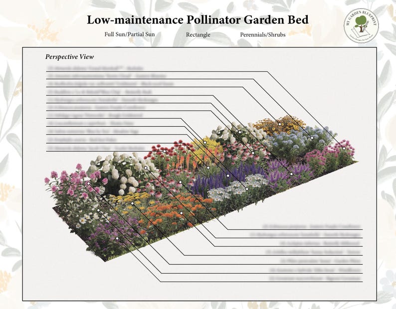 Low-maintenance Pollinator Garden Bed Template - Rectangle (2.5m X 8m ...