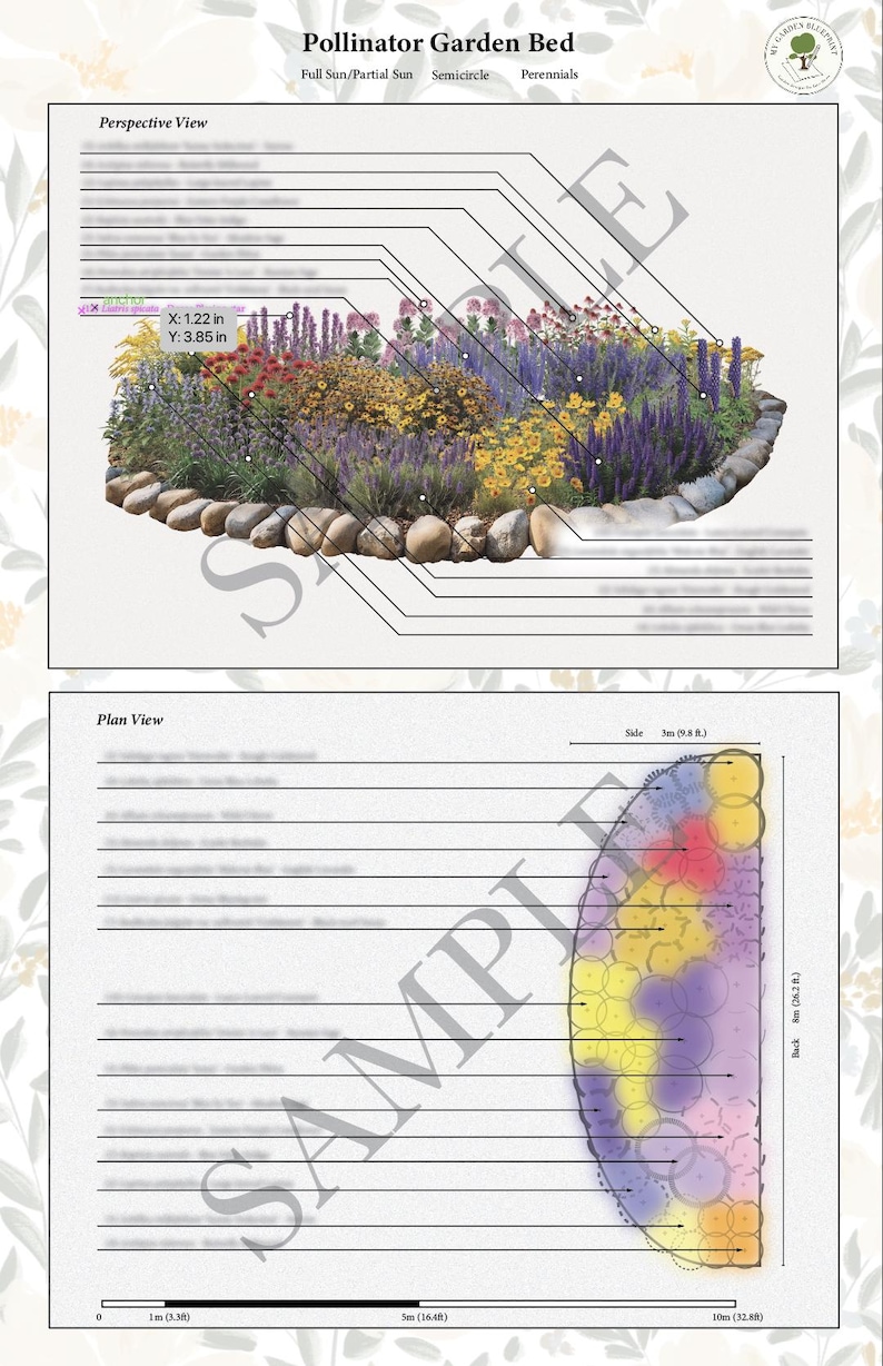 Pollinator Garden Bed Template - Semicircle (8m X 3m - Drawn to Scale ...