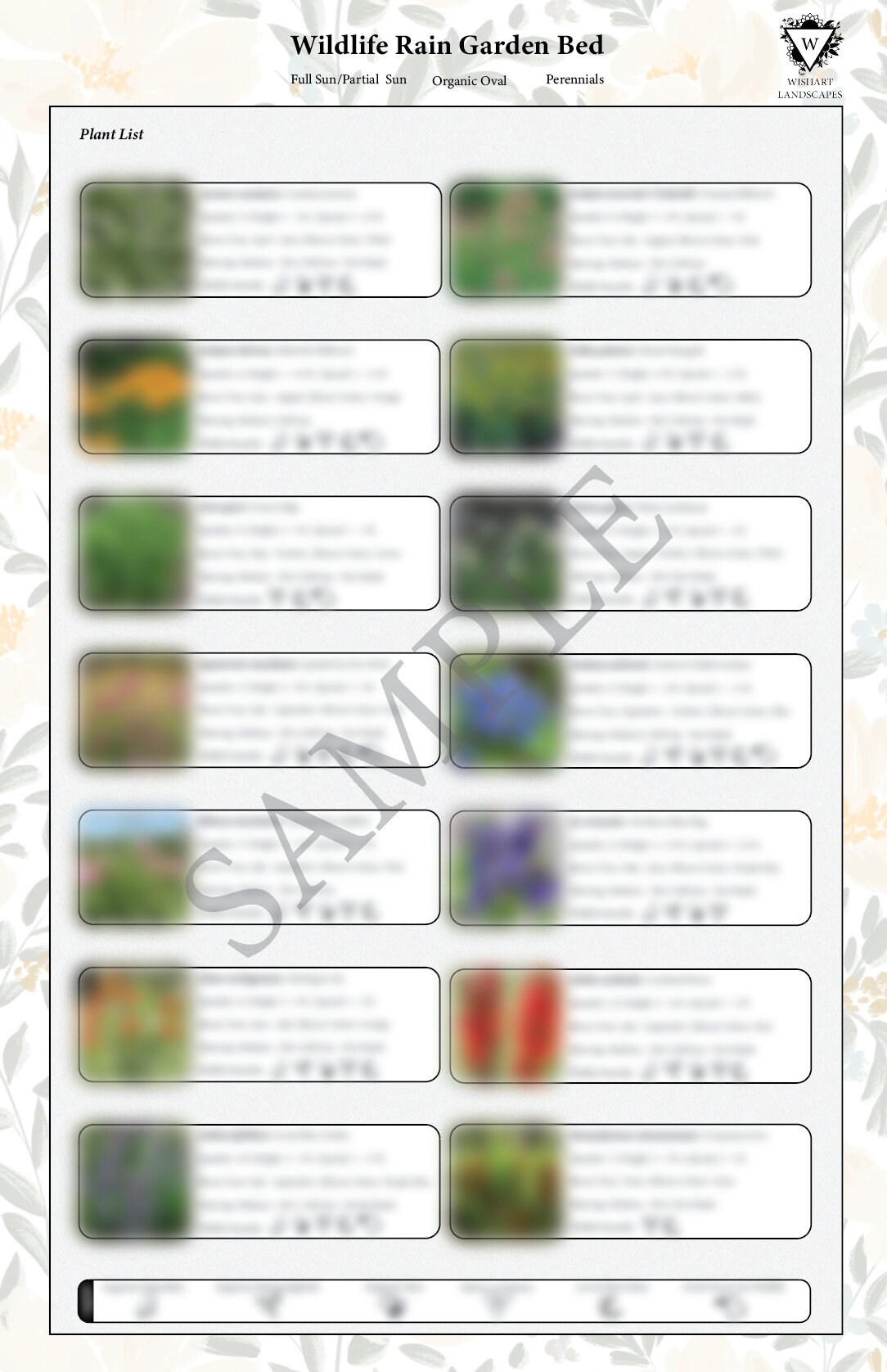 Wildlife Rain Garden Template Organic Oval 3.5m X 5.5m Drawn to Scale ...