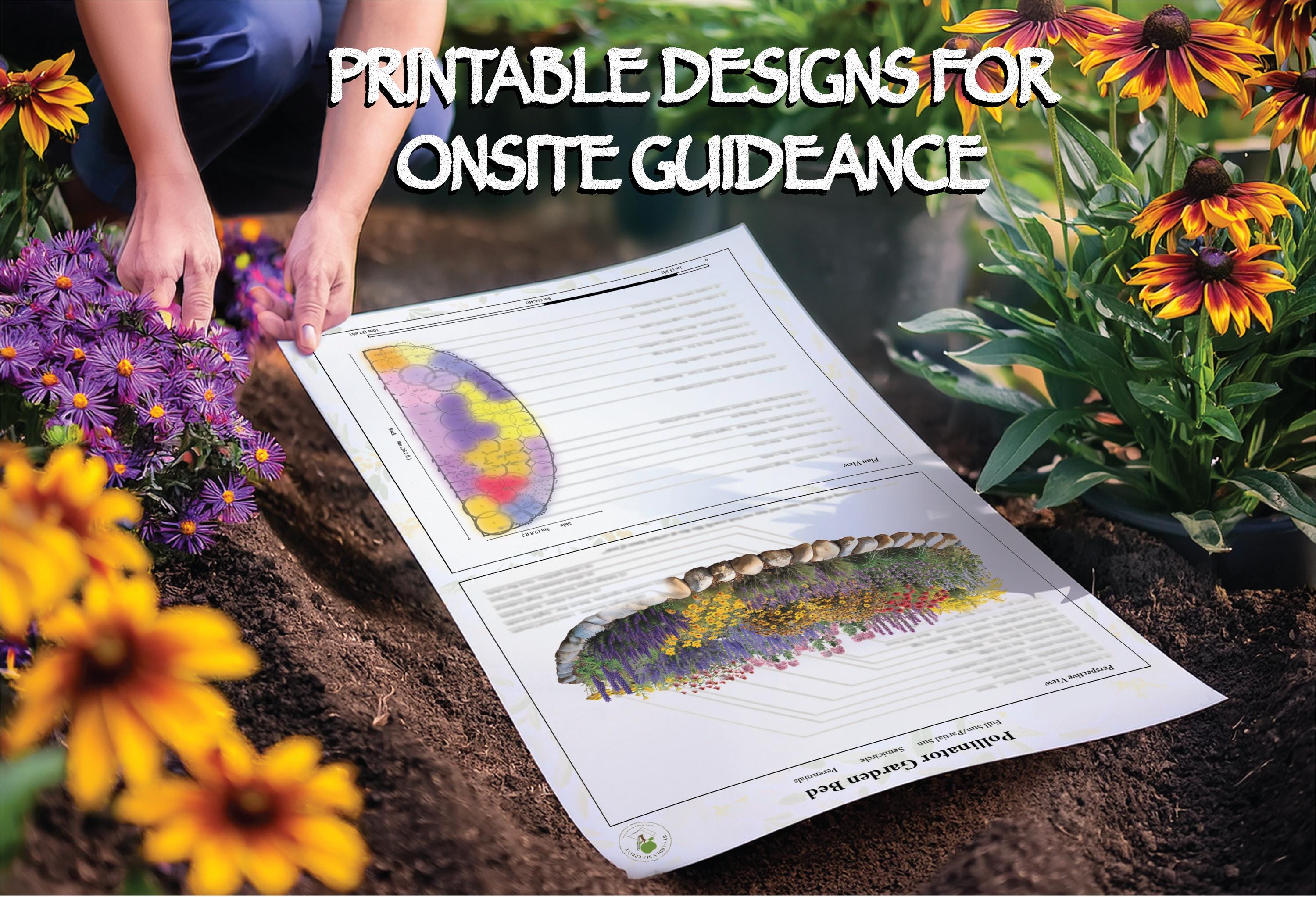 Pollinator Garden Bed Template - Semicircle (8m X 3m - Drawn to Scale ...