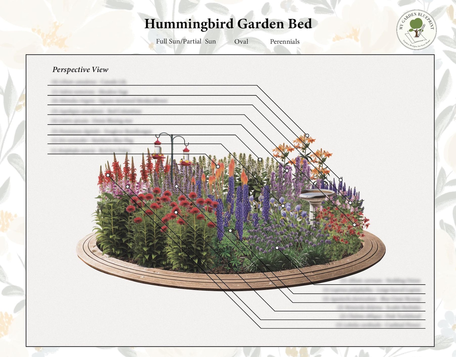 Hummingbird Garden Bed Template - Oval (4m X 2.5m - Drawn to Scale ...