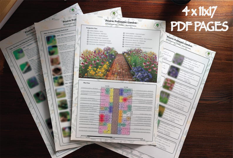 Prairie Pollinator Garden Template - Pathway (TWO BEDS - 2m X 8m ...