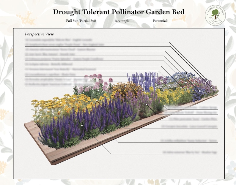 Drought Tolerant Pollinator Garden Bed Template - Rectangle (1.5m X 8m ...