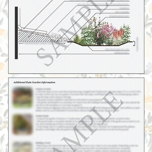 Wildlife Rain Garden Template Organic Oval 3.5m X 5.5m Drawn to Scale ...