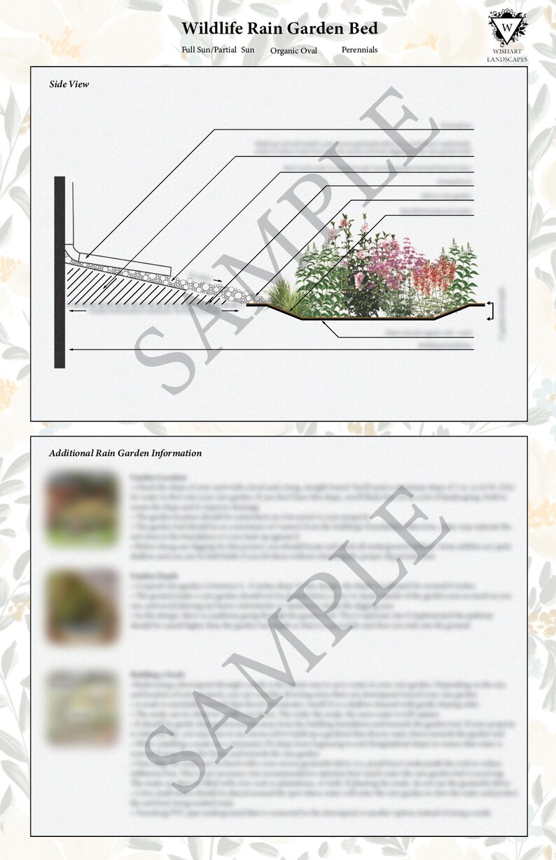 Wildlife Rain Garden Template Organic Oval 3.5m X 5.5m Drawn to Scale ...