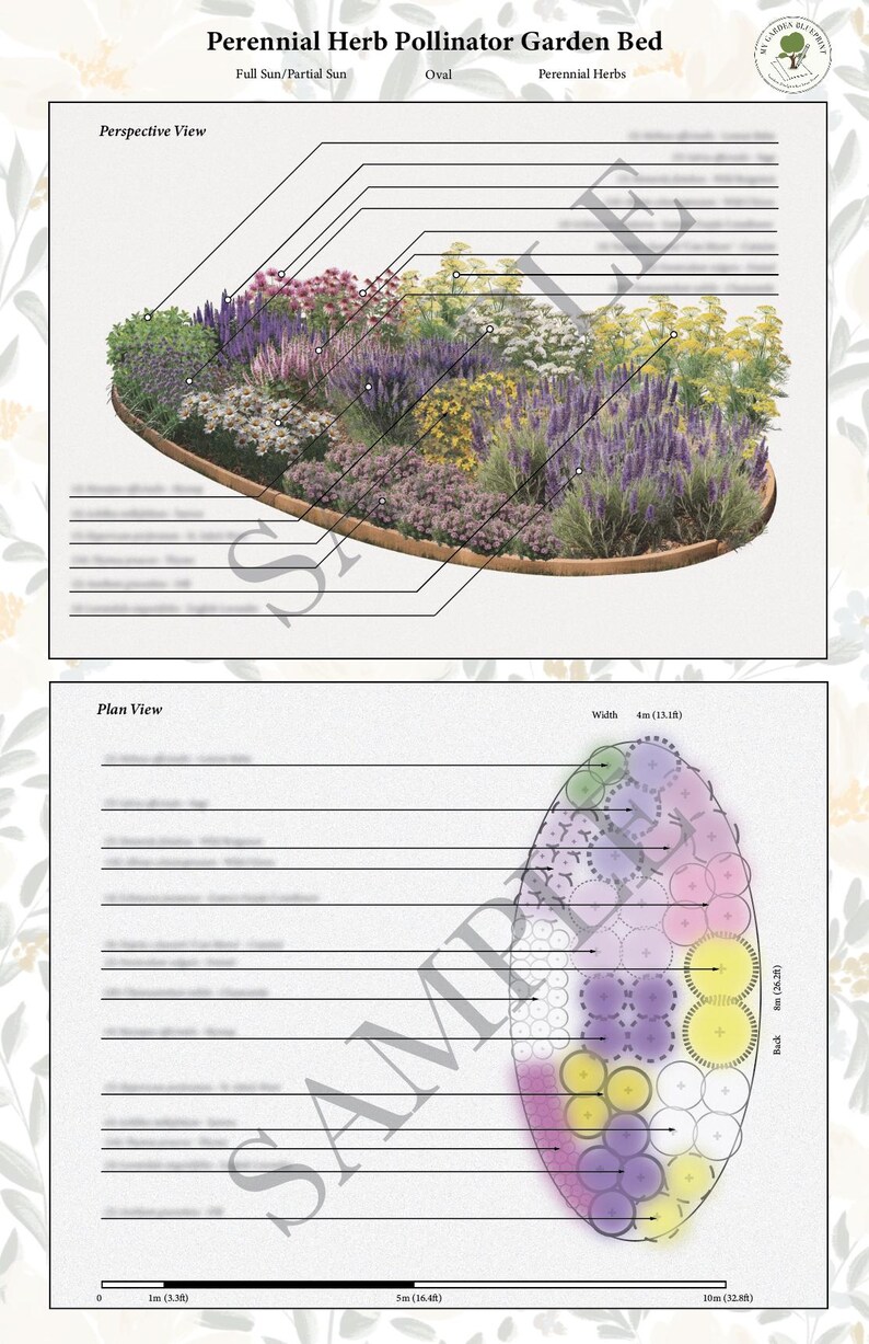 Perennial Herb Pollinator Garden Bed Template - Oval (8m X 4m - Drawn ...