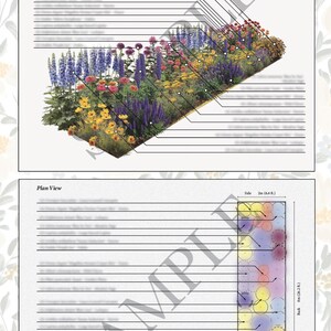 Cottage Garden Bed Template - Rectangle (2m X 8m - Drawn to Scale ...
